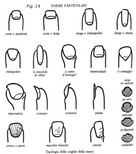 ALTERAZIONI DELL’UNGHIA parte 1 • Estetispa Academy