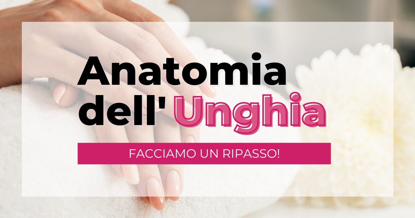 Anatomia dell'Unghia • Nail • Estetispa | Estetispa Academy Anatomia ...